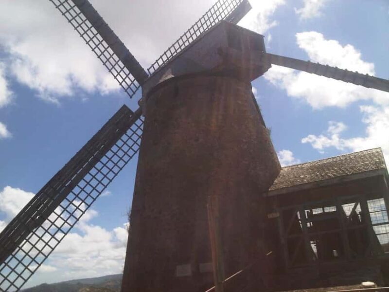 Barbados: 5.5-Hour Island Tour Plantation, Lunch and Drinks - Key Points