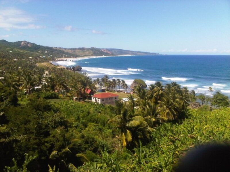 Barbados: 5.5-Hour Island Tour Plantation, Lunch and Drinks - Authenticity and Personal Touch