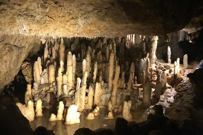 Barbados Amazing Full Day Private Rural Excursion - The Practicalities: What to Expect