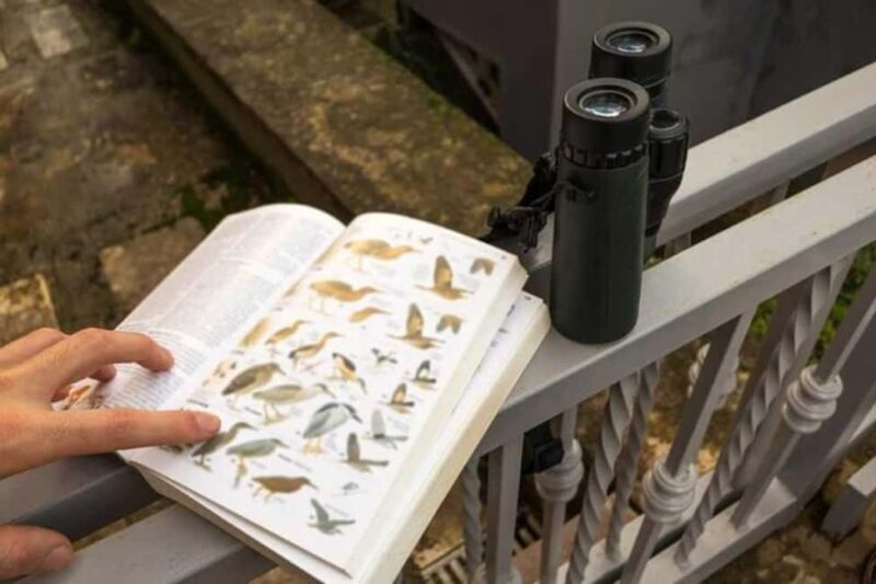 Barbados: Bird Watching Experience - Transportation and Group Dynamics