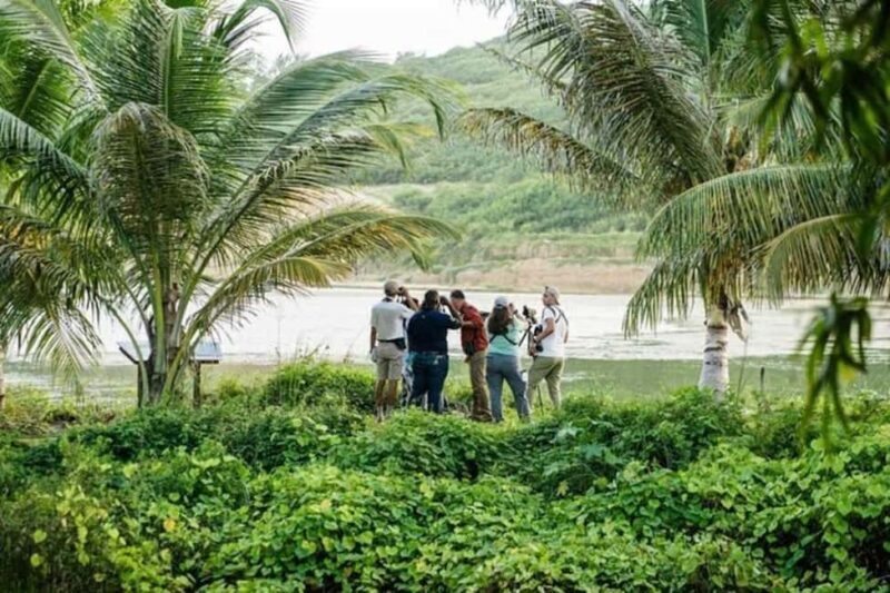 Barbados: Bird Watching Experience - Duration and Practicalities