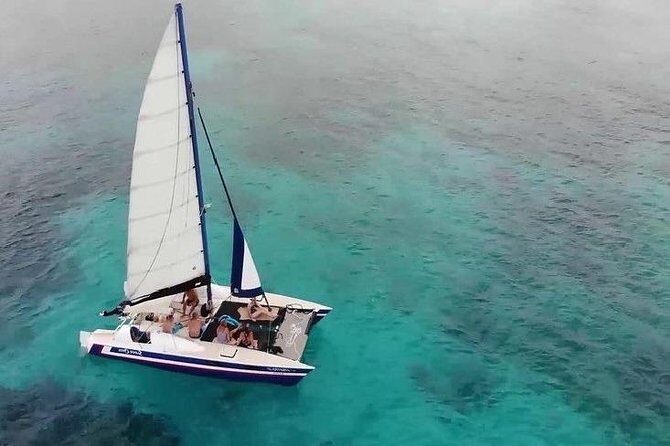 Barbados Catamaran Snorkel Cruise with Lunch and Open Bar - The Experience in Detail