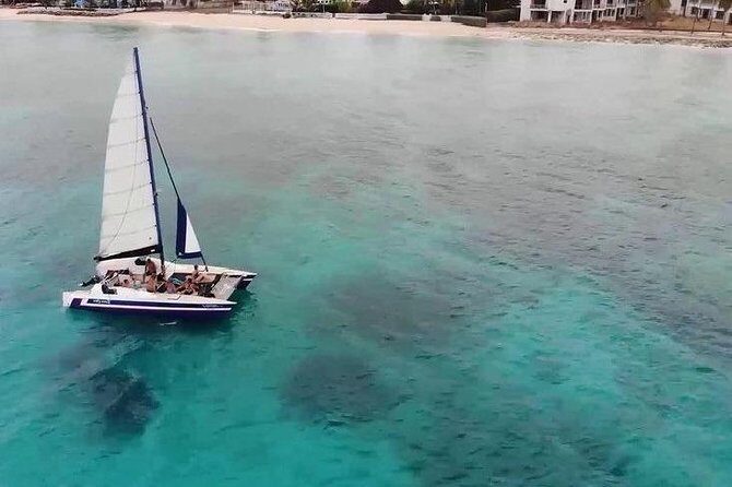 Barbados Catamaran Snorkel Cruise with Lunch and Open Bar - Final Thoughts