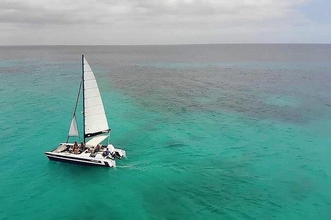 Barbados Catamaran Snorkel Cruise with Open Bar - What Travelers Are Saying
