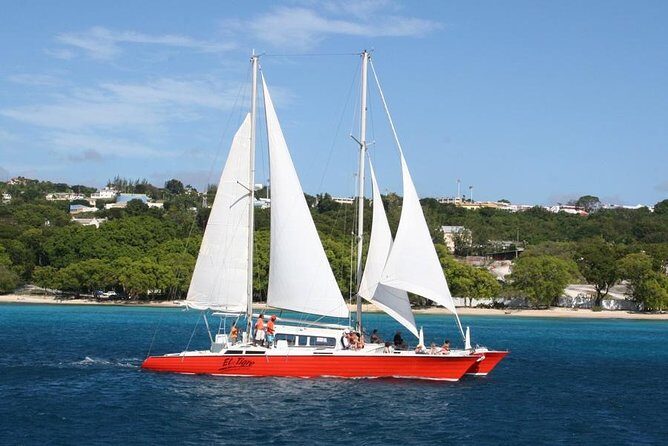 Barbados Catamaran Turtle and Shipwreck Snorkeling Cruise - Value and Practicalities