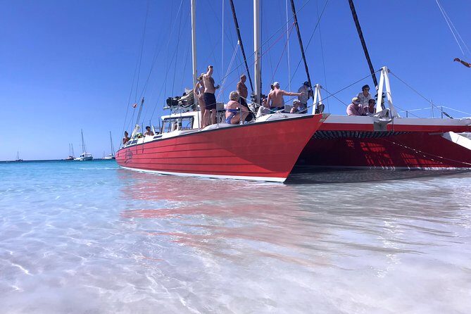 Barbados Catamaran Turtle and Shipwreck Snorkeling Cruise - Who Should Consider This Tour?