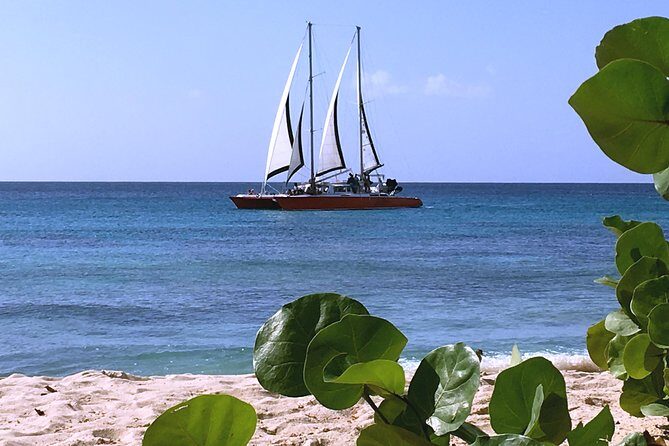 Barbados Catamaran Turtle and Shipwreck Snorkeling Cruise - FAQs
