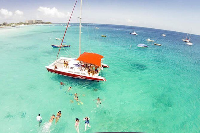 Barbados Catamaran Turtle Snorkel with Lunch and Open Bar - The Details of This Barbados Catamaran Tour