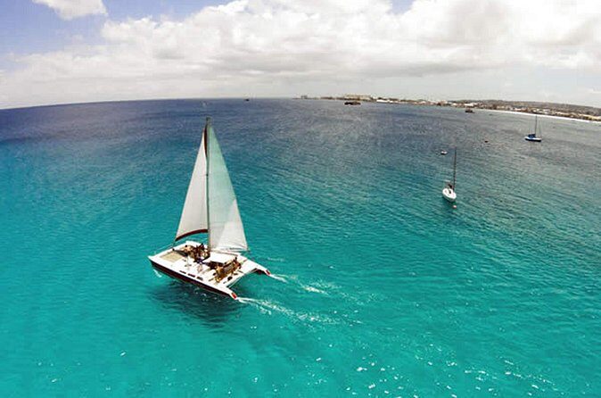 Barbados Catamaran Turtle Snorkel with Open Bar - Final Thoughts: Who Would Love This Tour?