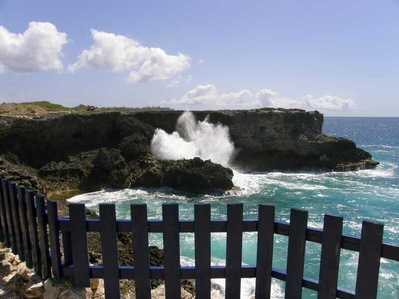 Barbados: Coastal Sightseeing Tour with Lunch and Transfers - Pricing and Value Worth Considering