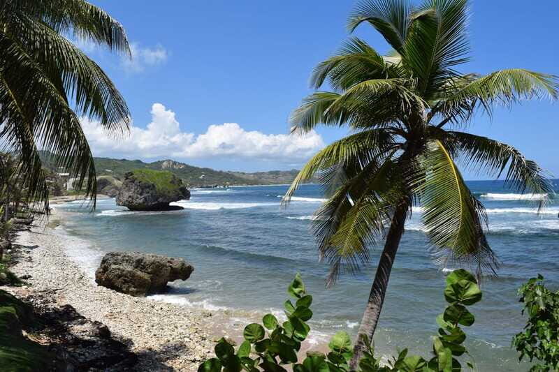 Barbados: Coastal Sightseeing Tour with Lunch and Transfers - Final Thoughts: Who Would Enjoy This Tour?