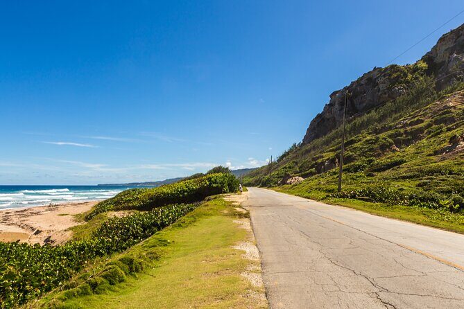 Barbados Coastal Tour - What Travelers Say