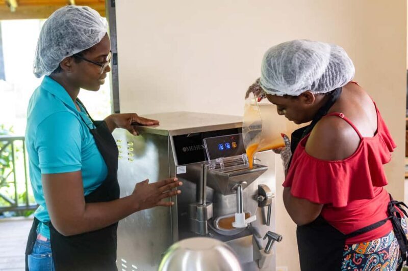 Barbados: Fruit-to-Scoop Culinary Experience; Make Sorbets - What’s Included and How It Works