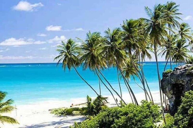 Barbados: Full-day Coast to Coast Tour - Lunch at Sand Dunes