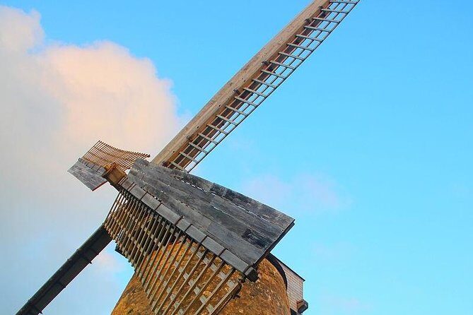 Barbados Full-day Coast to Coast Tour - Timing & Duration: A Tight Schedule