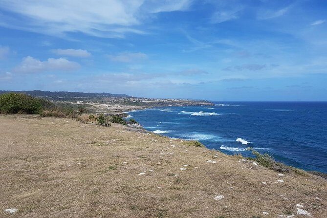 Barbados Full-day Private Tour - The Sum Up