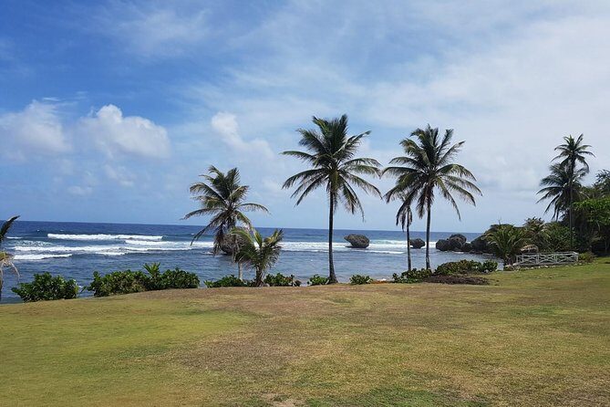 Barbados Half Day Coastal Sightseeing Private Tour - FAQ