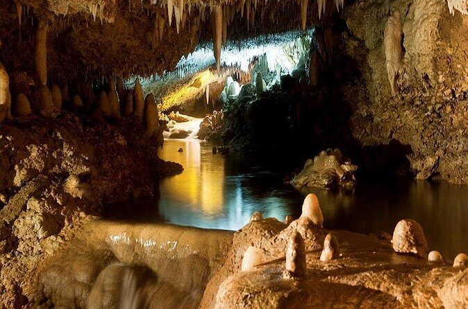 Barbados Harrison's Cave and Atlantis Submarine Dive Tour - Final Thoughts