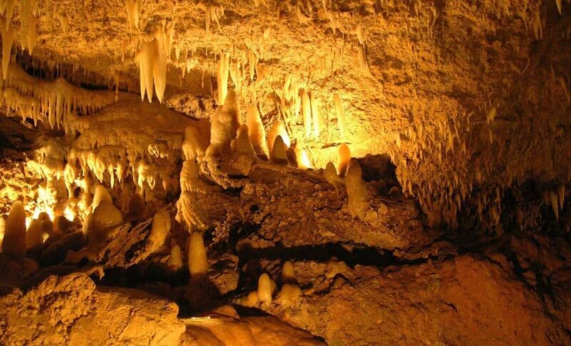 Barbados: Harrisons Cave & Huntes Gardens Tour - An In-Depth Look at the Harrisons Cave & Huntes Gardens Tour