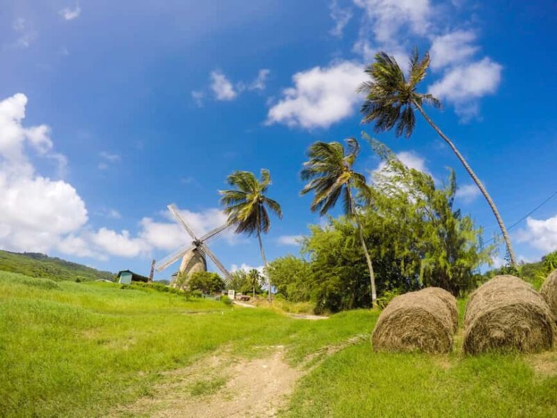 Barbados Highlights Tour - Key Points