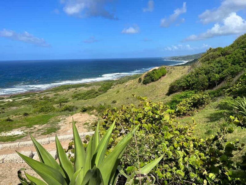 Barbados Highlights Tour - The Bottom Line