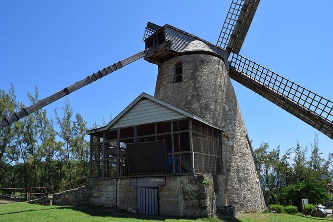 Barbados Island Highlights Half-Day Tour - An In-Depth Look at the Tour Experience