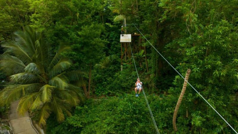 Barbados: Monkey Zip & Gully Challenge Adventure - Key Points