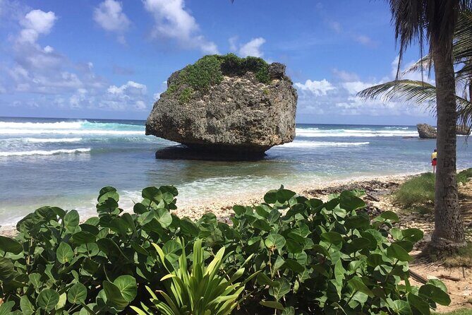 Barbados Paradise Tour with Hotel Transfers - FAQs