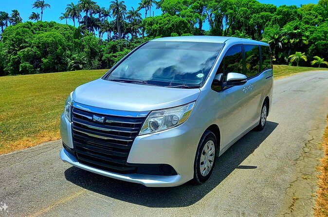 Barbados Private Cruise Port transfer - Reviews and Real-World Insights