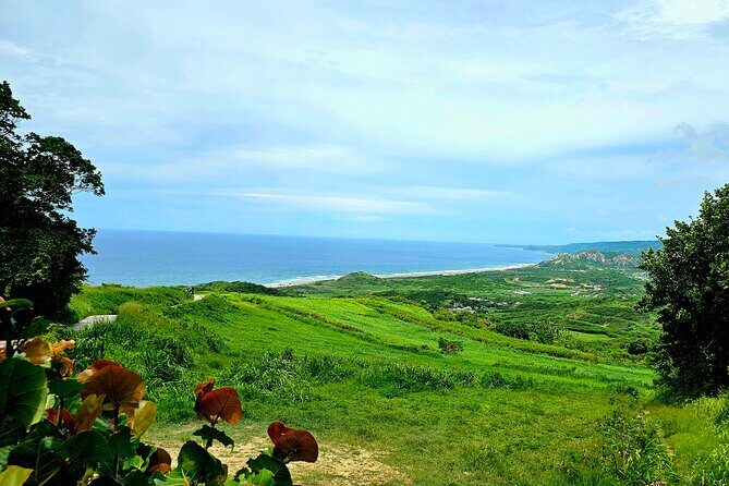 Barbados Private Island Tour: A Fully Customizable Experience - What Makes This Tour Special