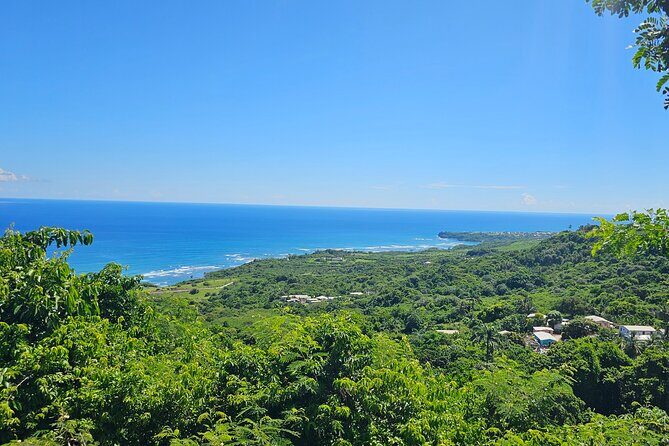 Barbados Private Scenic Tour: With Monkey Feeding Experience - FAQ