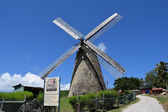 Barbados Shore Excursion Barbados Paradise Sightseeing Tour - Afternoon at Carlisle Bay: Relaxation and Refreshment