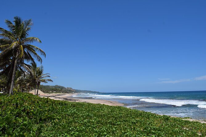 Barbados Shore Excursion: Barbados Surf & Turf - Introduction: The Lowdown on Barbados Surf & Turf