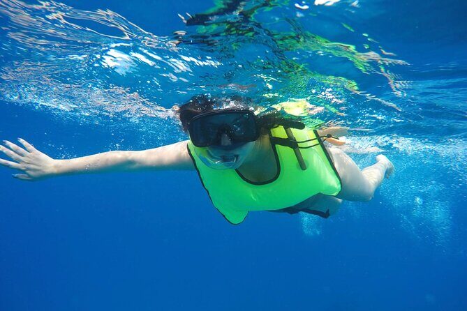 Barbados Shore Excursion: Carlisle Bay Turtle & Shipwreck - Practical Tips for Your Trip