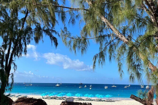 Barbados Shore Excursion Snorkel cruise and Beach Day - FAQs