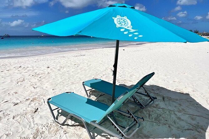 Barbados Shore Excursion: Wildlife Encounter and Beach Day - Reviews and Authentic Perspectives