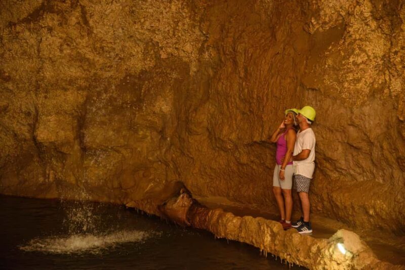 Barbados: Signature Park Pass & Gully Challenge Adventure - The Sum Up