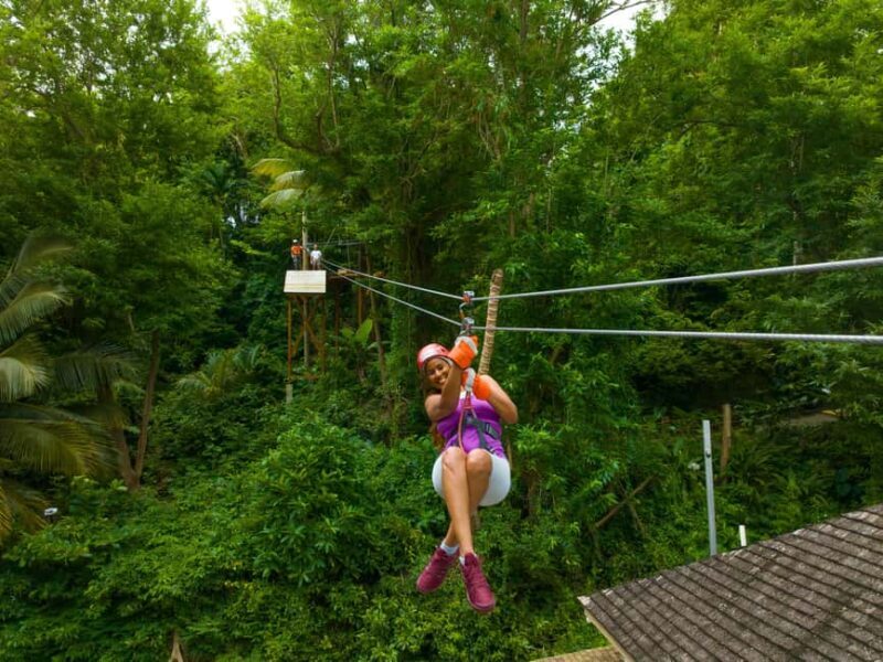 Barbados: Signature Park Pass & Monkey Zip Experience - Starting with a Cultural Introduction
