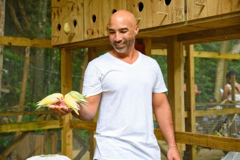 Barbados: Signature Park Pass & Monkey Zip Experience - Authentic Traveler Insights