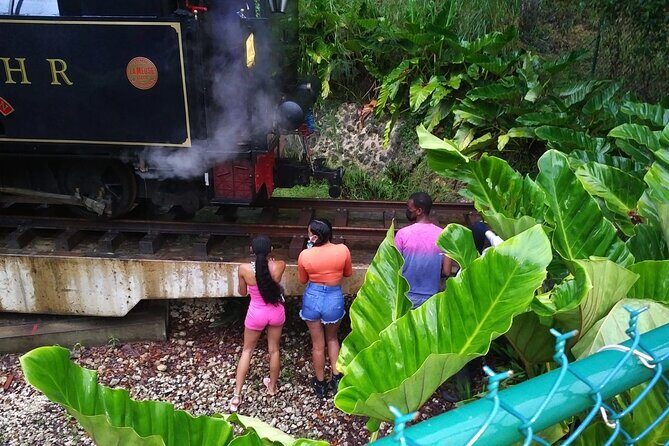 Barbados through the eyes of a local - An In-Depth Look at "Barbados through the Eyes of a Local"