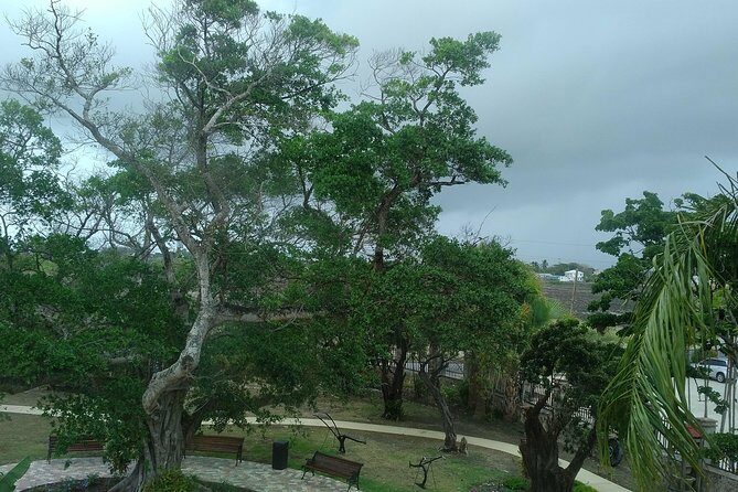 Barbados through the eyes of a local - Frequently Asked Questions