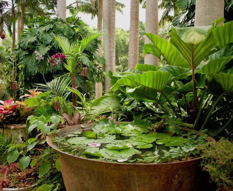 Barbados: Tour of Harrison's Cave & Hunte's Gardens - The Guided Experience