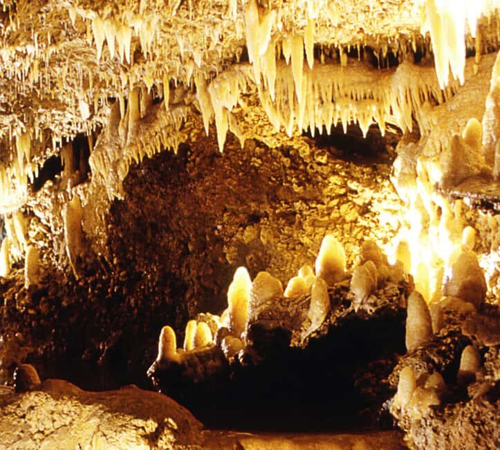 Barbados: Tour of Harrison's Cave & Hunte's Gardens - Transportation and Practical Details