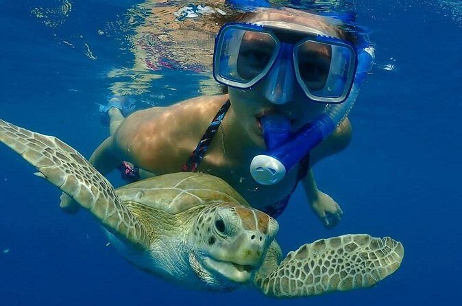 Barbados Wreck Explorers - FAQ