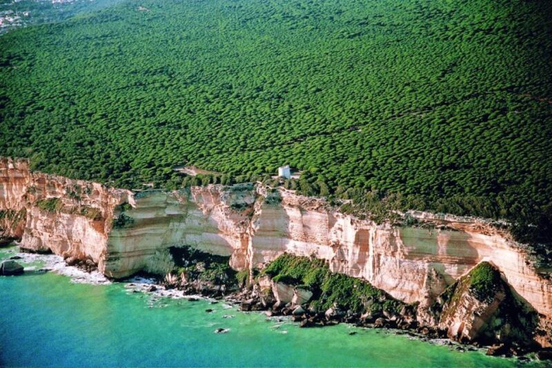 Barbate: La Breña Natural Park and Cape Trafalgar Boat Trip - What to Expect from the Tour