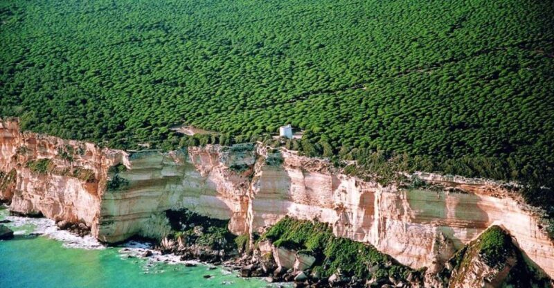 Barbate: La Breña Natural Park and Cape Trafalgar Boat Trip - What We Loved