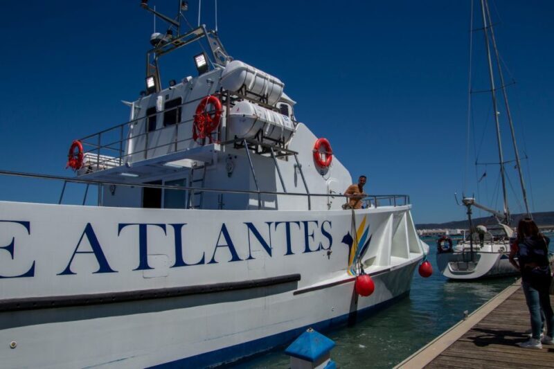 Barbate: Sunset Cruise with Glass of Cava - What’s Included and What to Expect