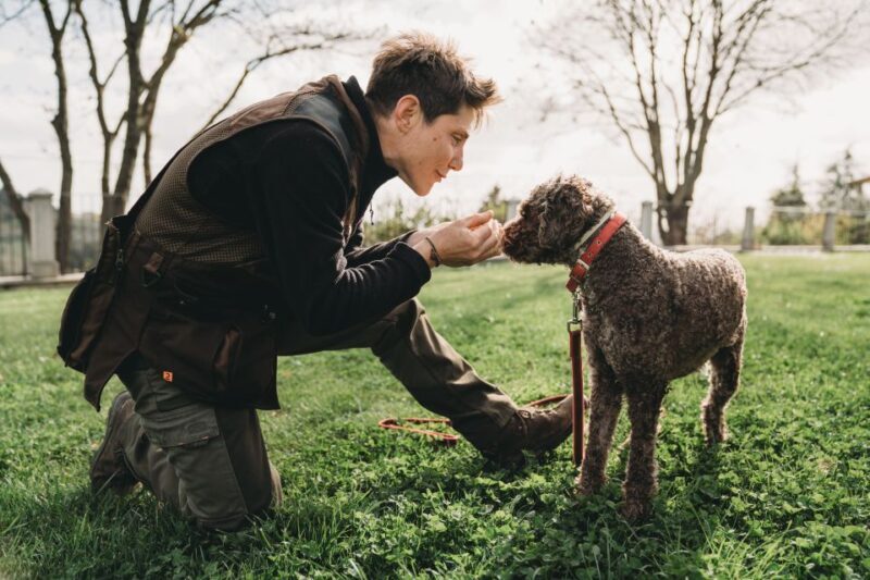 Barberino Tavarnelle: Truffle Hunt Tour with Lunch or Dinner - What Reviewers Say