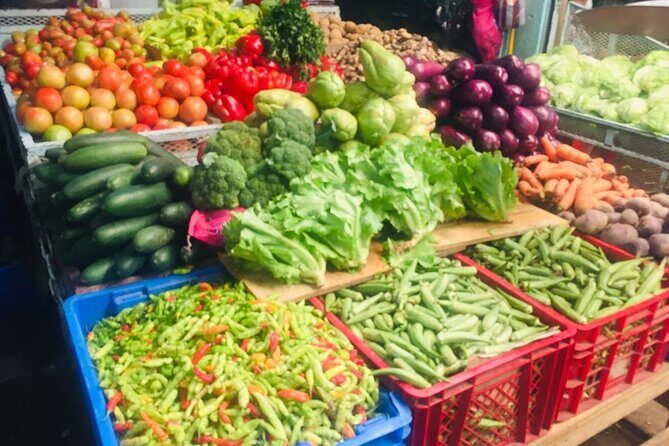 Barceló Bávaro Beach - Round Trip Shuttle - Punta Cana Airport - What to Expect from the Shuttle Service