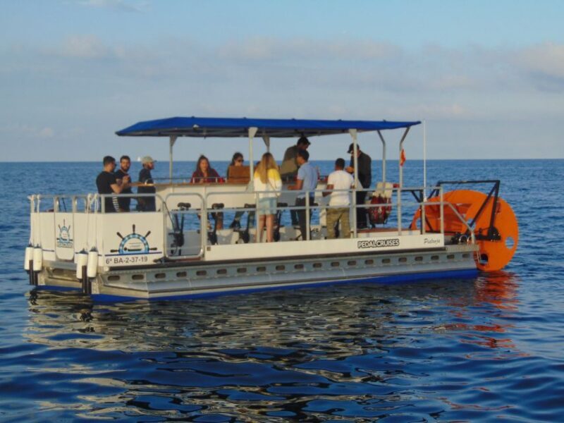 Barcelona: 1.5-Hour Private Scenic Pedal Boat Tour - What’s Included and What’s Not